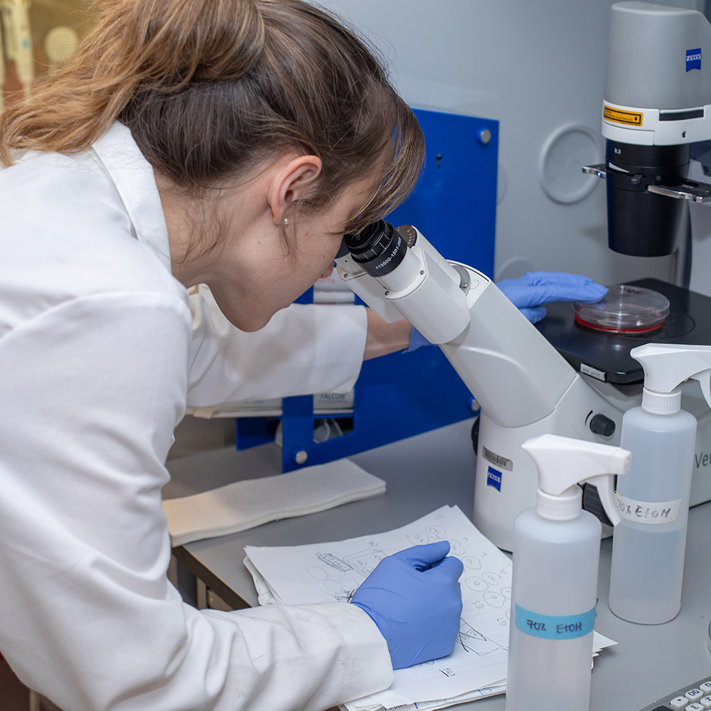 Executive Ph.D. in Biochemistry and Molecular Biology - University of Miami